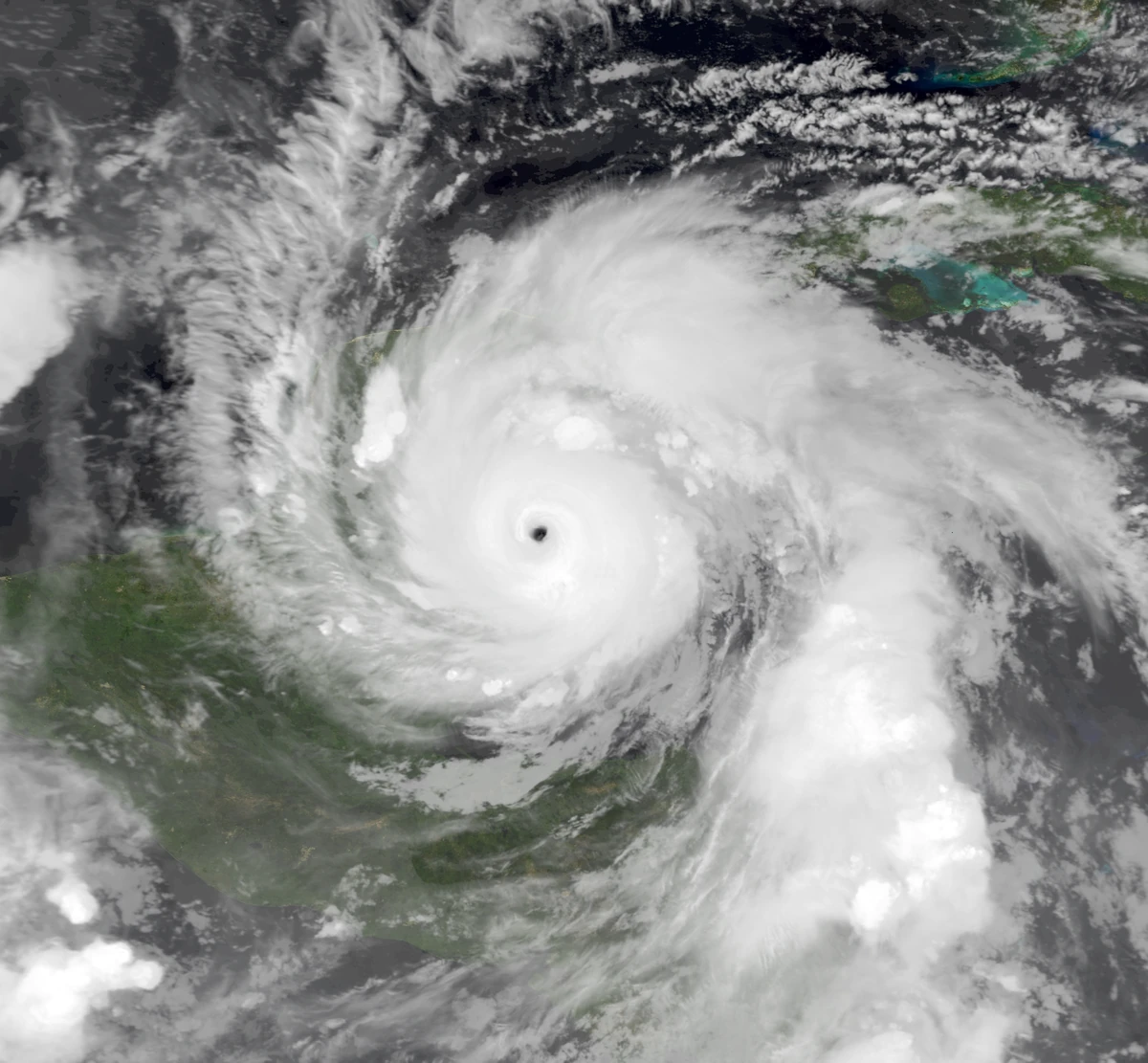 Hurricane Colin (AveryTheComrade) | Hypothetical Hurricanes Wiki | Fandom