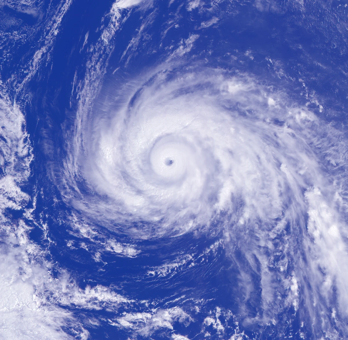 Hurricane Brandon - 2020 Finolia | Hypothetical Hurricanes Wiki | Fandom