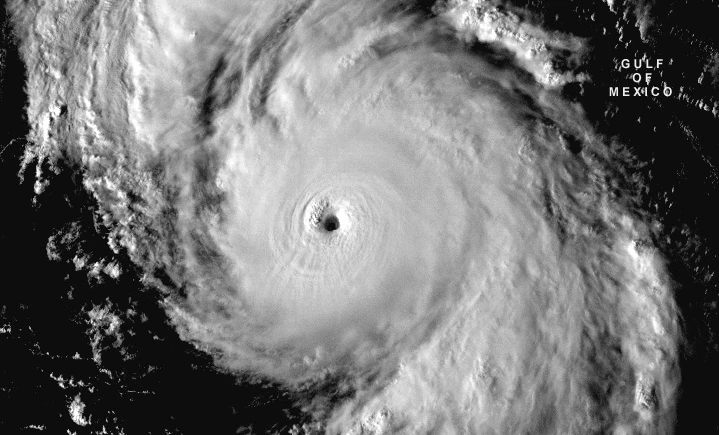 Cyclone Elvis | Hypothetical Hurricanes Wiki | Fandom
