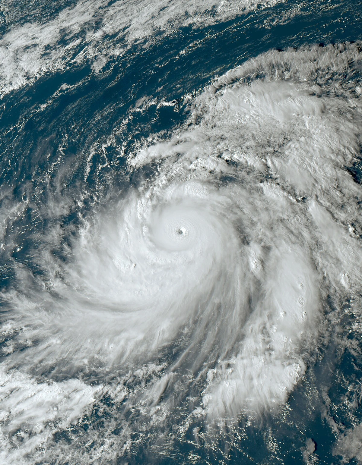 Hurricane Emily (2029) | Hypothetical Hurricanes Wiki | Fandom