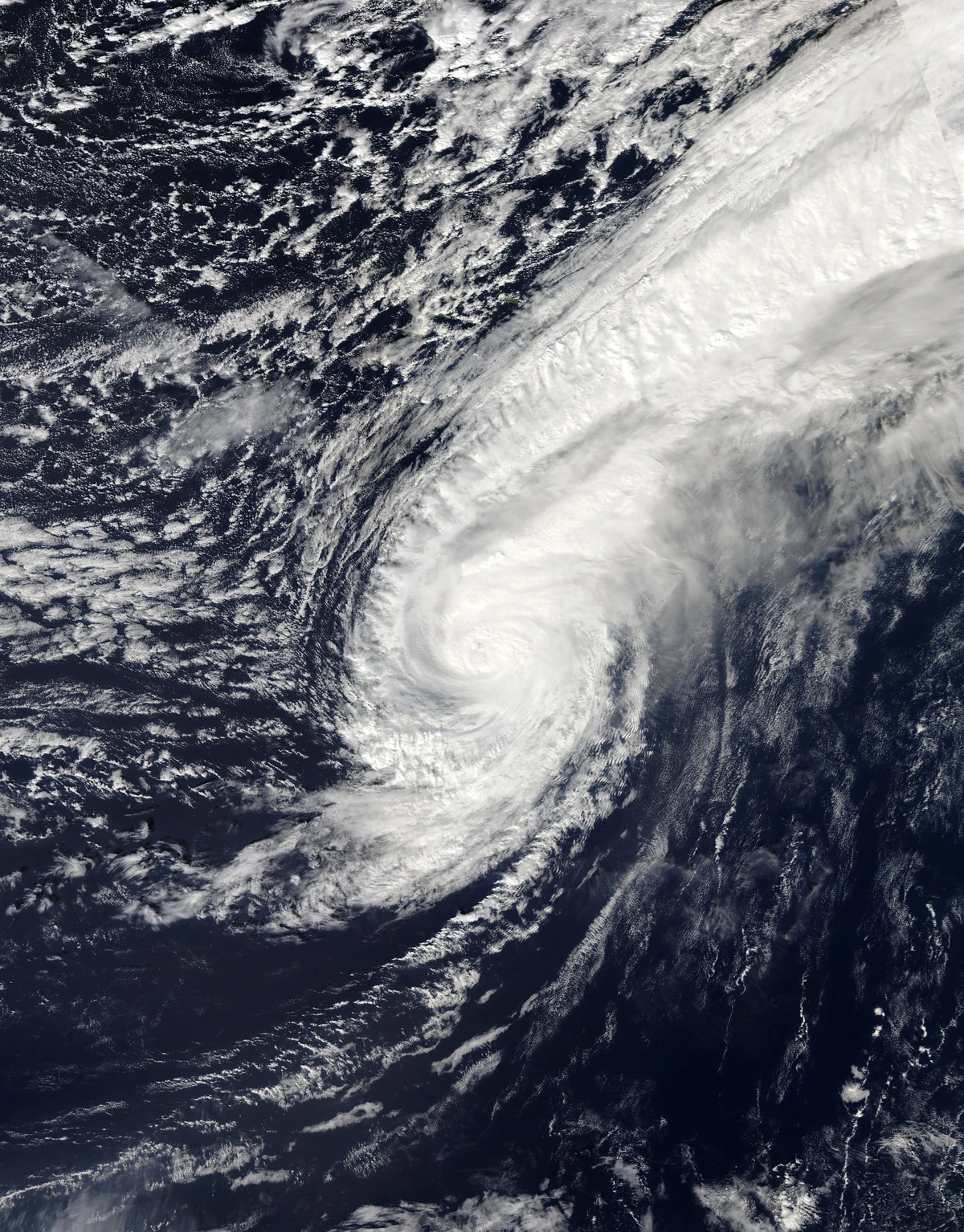 2022 Atlantic hurricane season (roussil97 model only) | Hypothetical ...