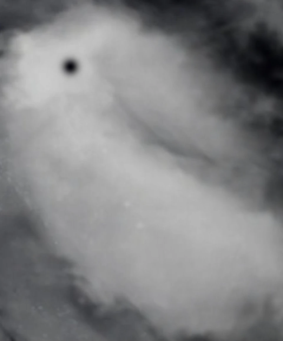 2035 Pacific Typhoon Season (Linh Storm Hurricane) | Hypothetical ...