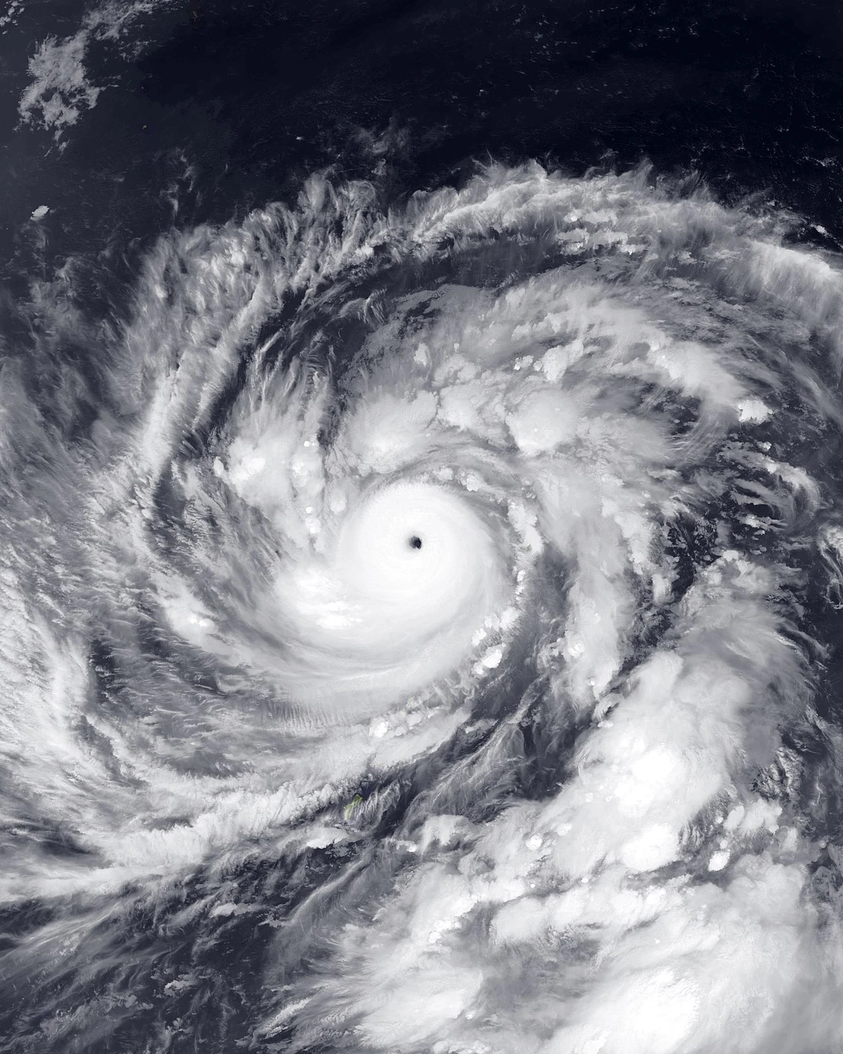 Hurricane Florence (Hitman) | Hypothetical Hurricanes Wiki | Fandom