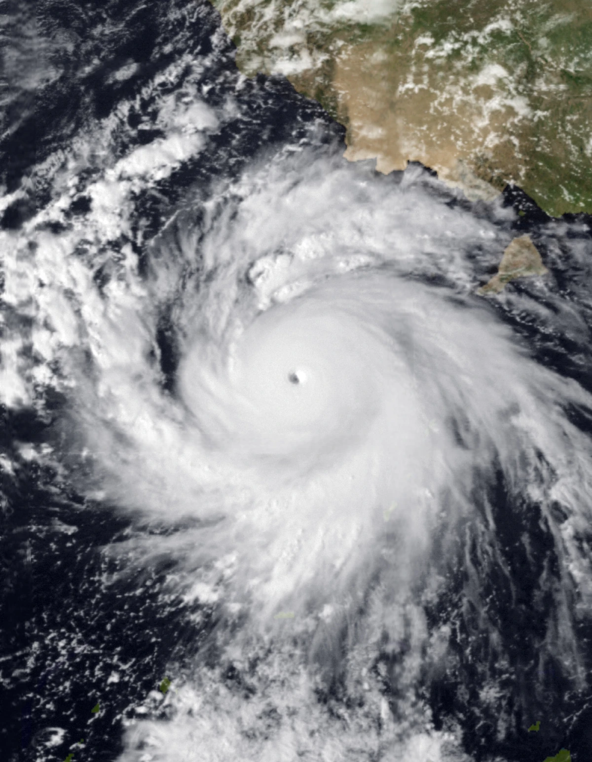 2026 Neya Hurricane Season | Hypothetical Hurricanes Wiki | Fandom