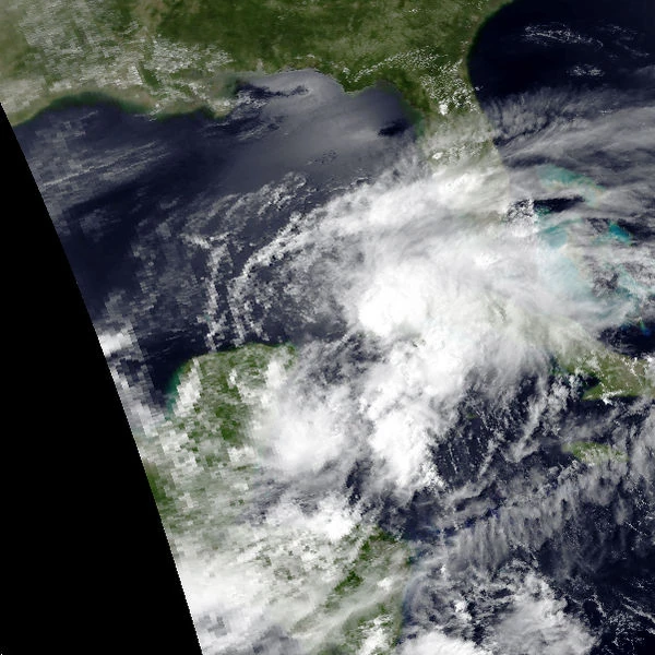 Tropical Storm Fernand (2019) | Hypothetical Hurricanes Wiki | Fandom