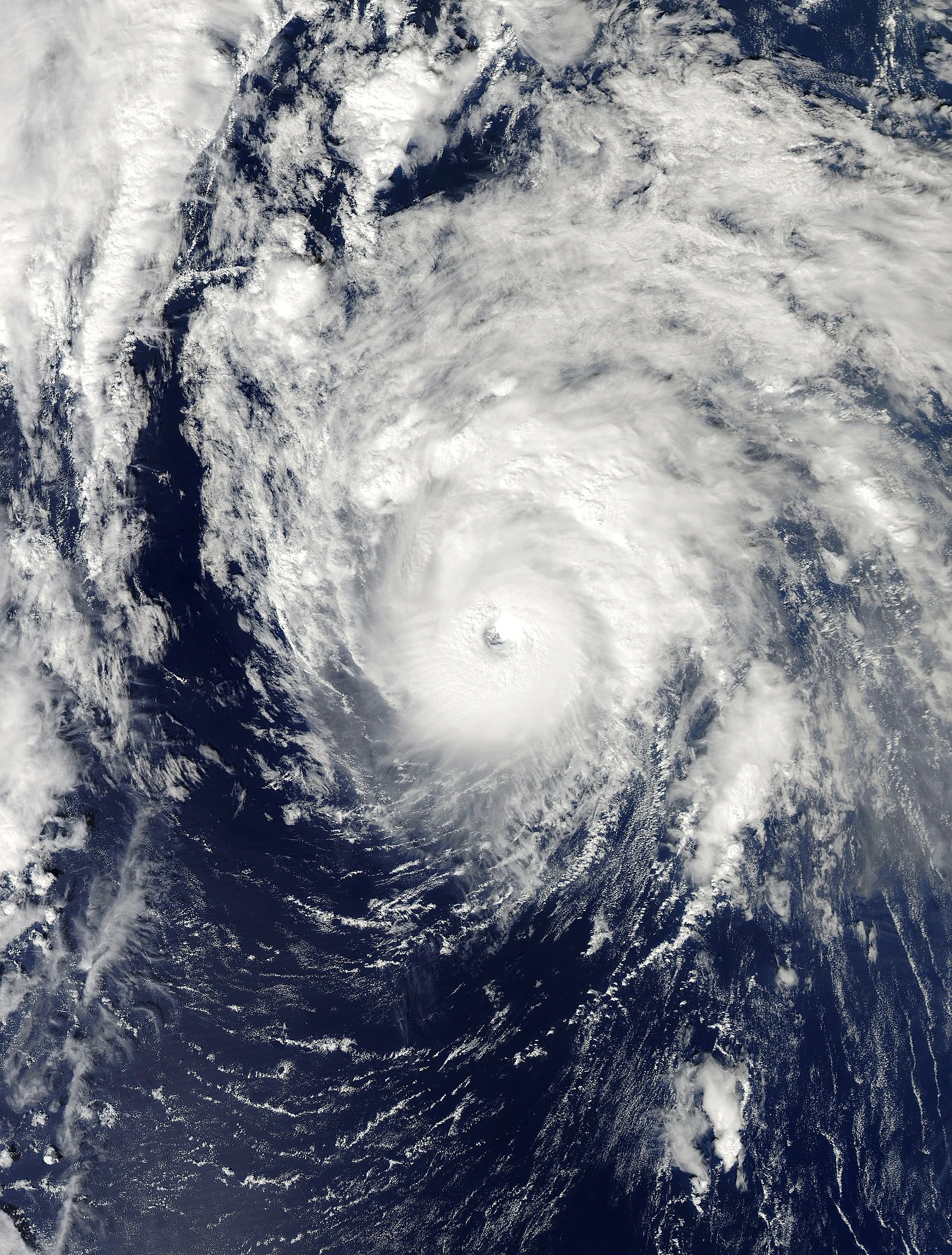 Hurricane Ana (2021) (Cylinder920) | Hypothetical Hurricanes Wiki | Fandom