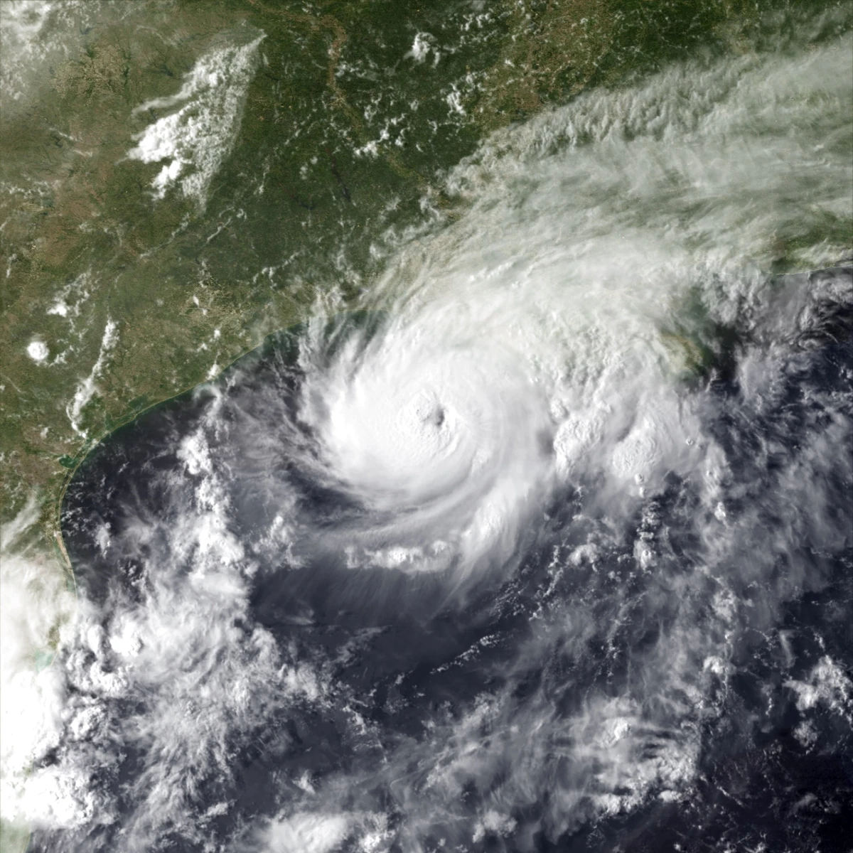 Hurricane Colin (Sandy's Version) | Hypothetical Hurricanes Wiki | Fandom