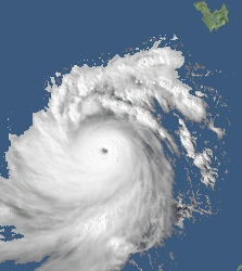 Hurricane Betty (2020 PTFS season) | Hypothetical Hurricanes Wiki | Fandom