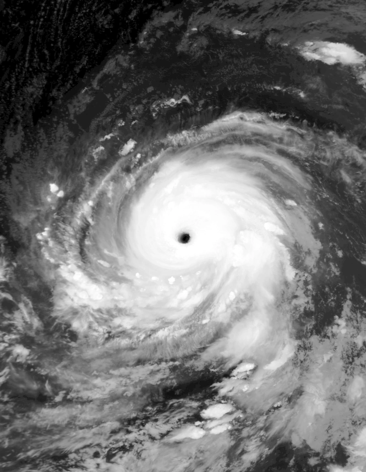 Hypercane Zetiero | Hypothetical Hurricanes Wiki | Fandom