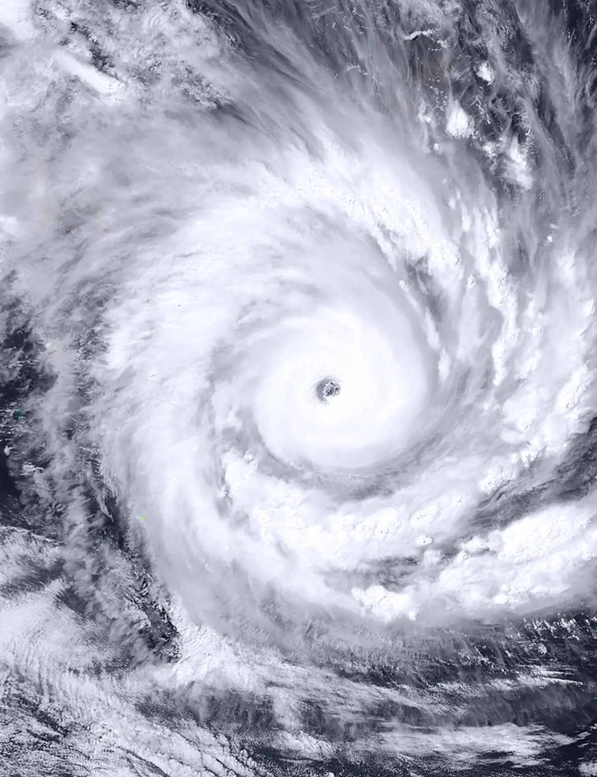 Cyclone Warwick (HypoEarth) | Hypothetical Hurricanes Wiki | Fandom