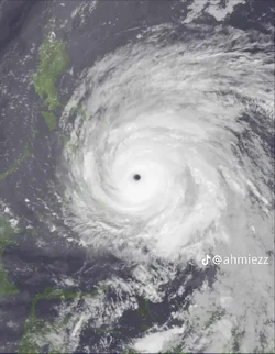 Typhoon Dolphin (Super Typhoon Mirasol) | Hypothetical Hurricanes Wiki ...