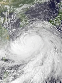 Typhoon Dolphin (Super Typhoon Mirasol) | Hypothetical Hurricanes Wiki ...