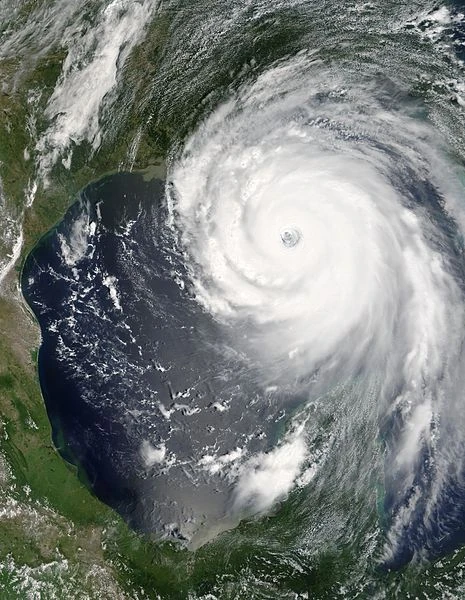 Hurricane Avery | Hypothetical Hurricanes Wiki | Fandom