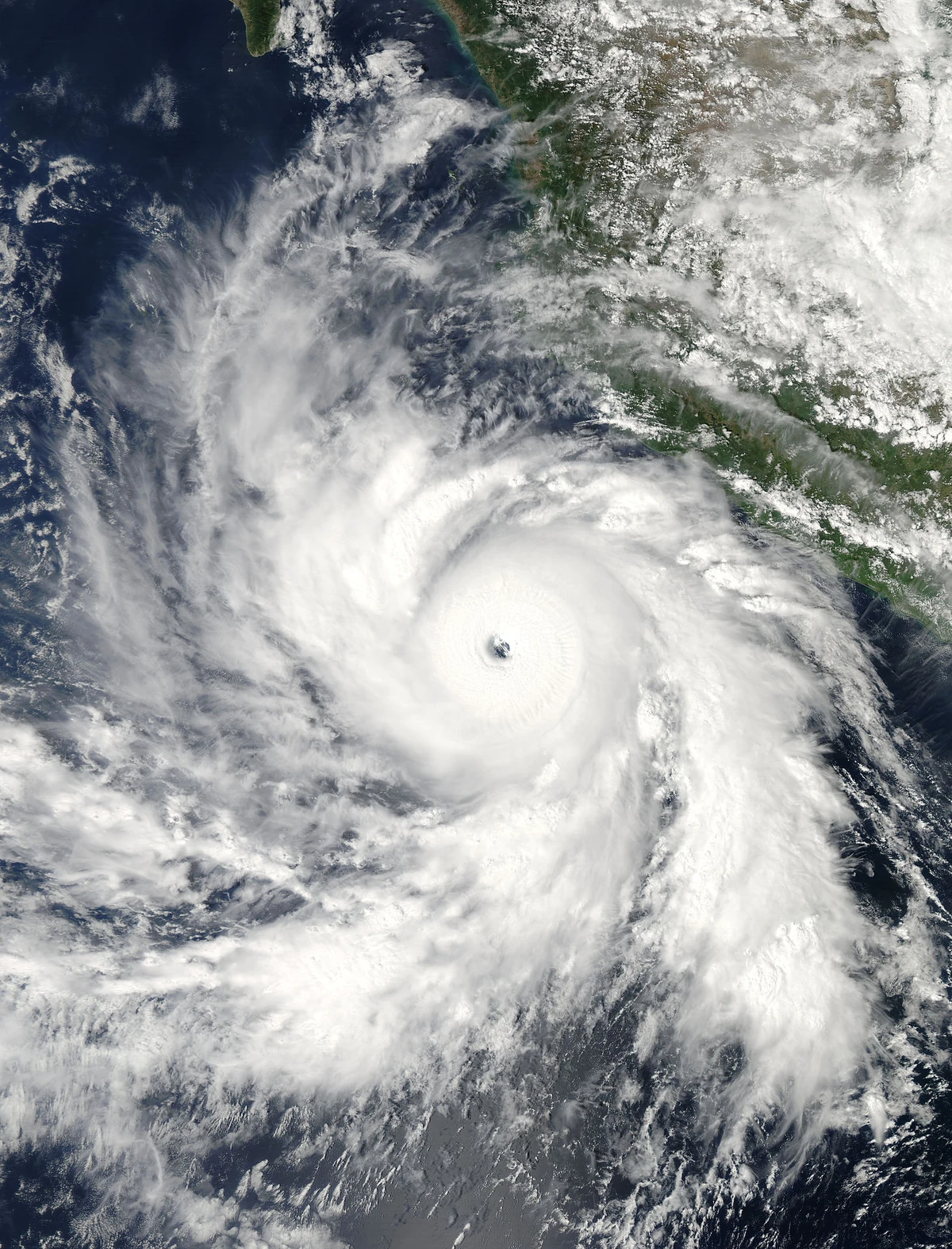 Hurricane Priscilla (2001) | Hypothetical Hurricanes Wiki | Fandom