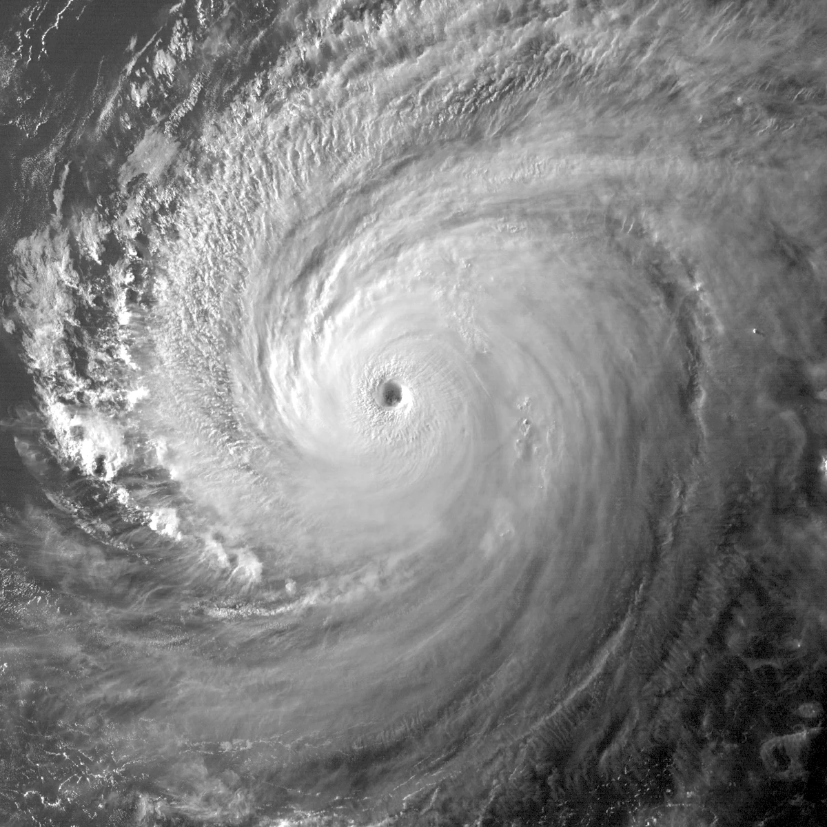 2037 Pacific typhoon season (Cjmonit) | Hypothetical Hurricanes Wiki ...