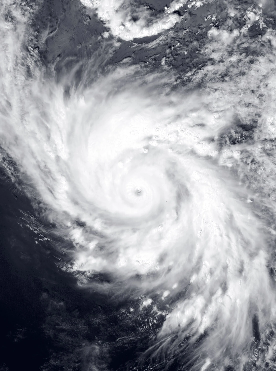 Hurricane Harold (2023) | Hypothetical Hurricanes Wiki | Fandom