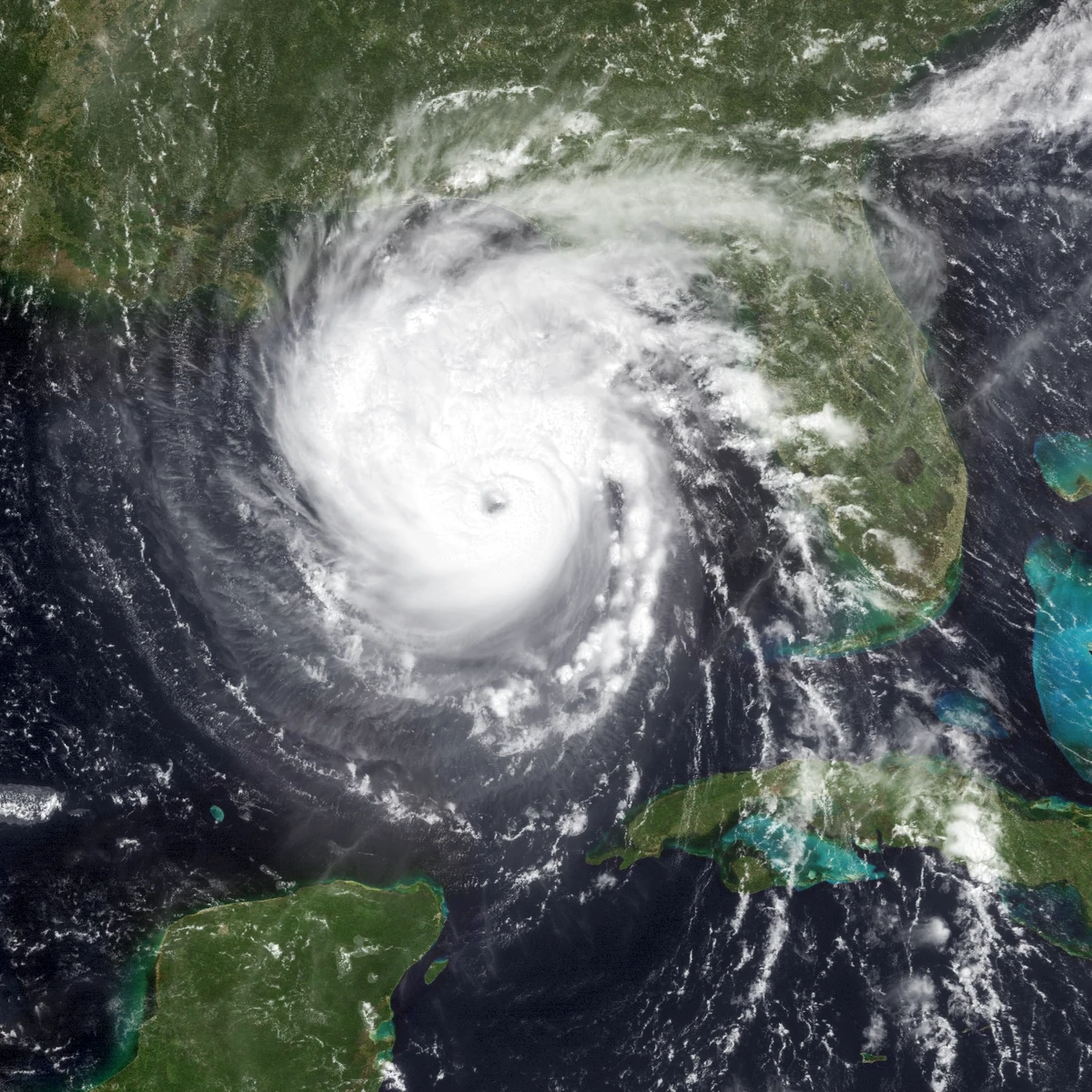 Hurricane Earl (Default) | Hypothetical Hurricanes Wiki | Fandom