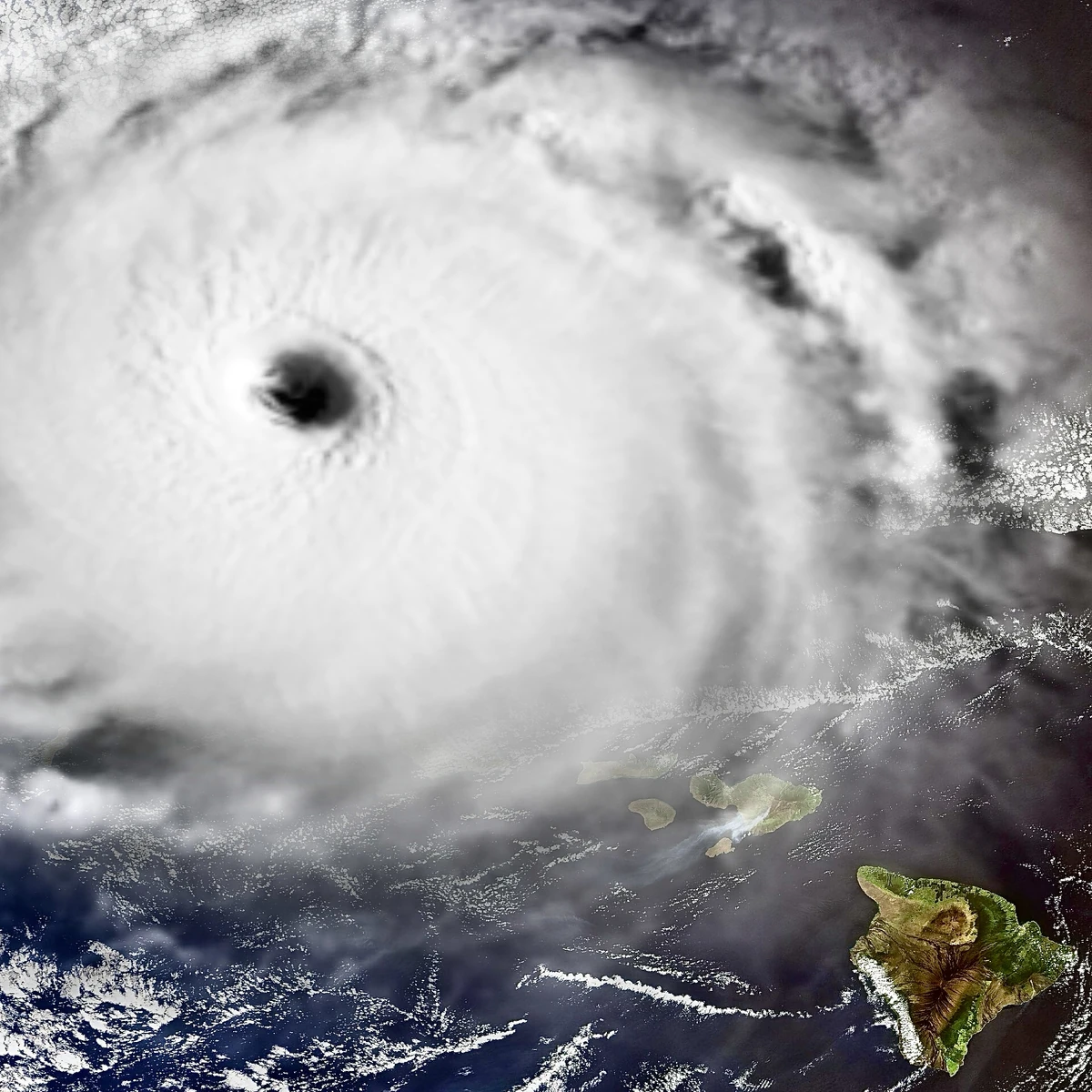 Hurricane Kalani | Hypothetical Hurricanes Wiki | Fandom