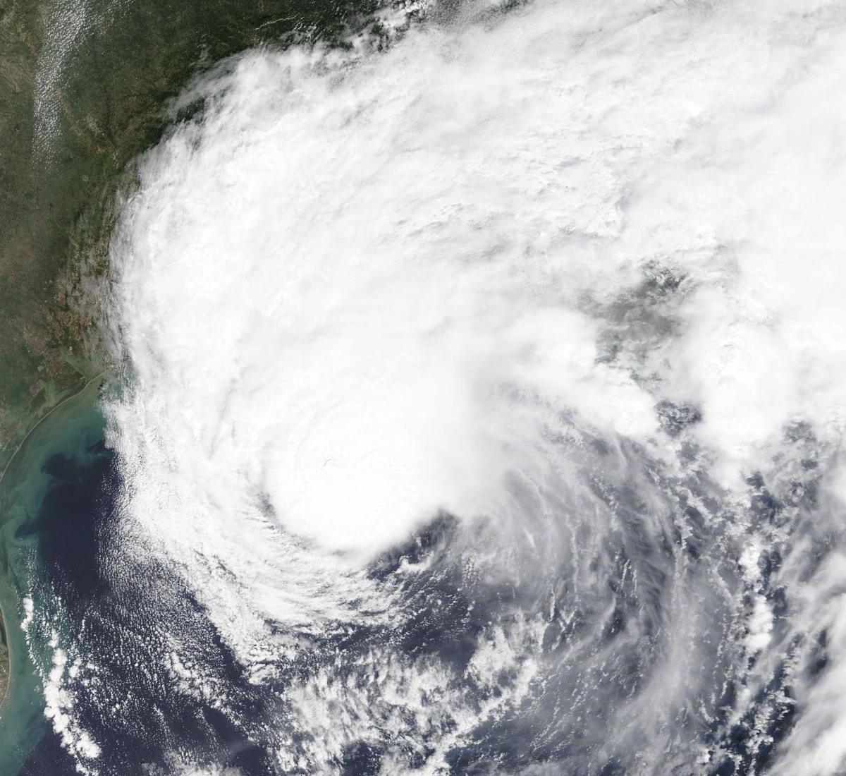 Tropical Storm Arlene (HurricaneOtto2023) | Hypothetical Hurricanes ...