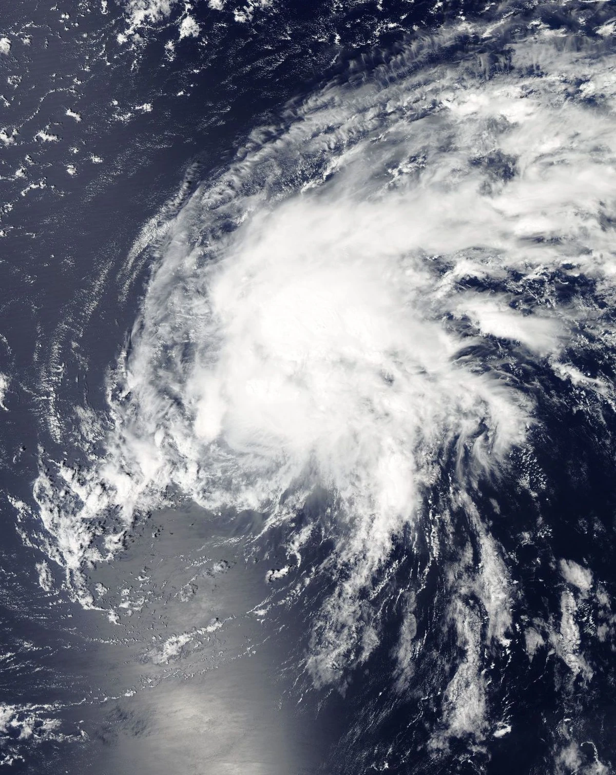 2023 Atlantic hurricane season (Cooper) | Hypothetical Hurricanes Wiki ...