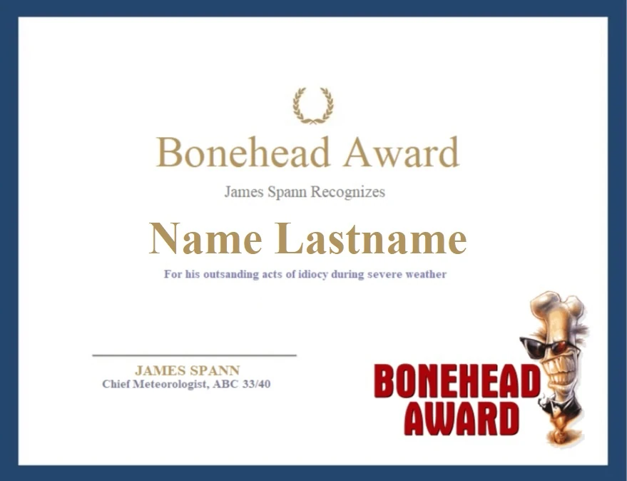 Bonehead Award | Hypothetical Tornadoes Wiki | Fandom