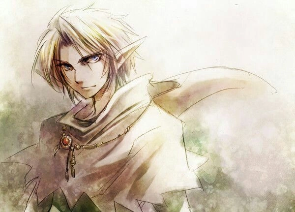 Sir Raven | Hyrule Historia Wiki | Fandom