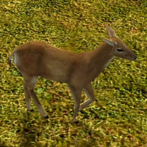 Domain Deer | Hyrule Conquest Wiki | Fandom