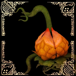 Pikit (Conquest) | Hyrule Conquest Wiki | Fandom