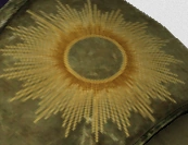 Kingdom of Labrynna (Conquest) | Hyrule Conquest Wiki | Fandom