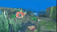 Pufferfish | Hytale Wiki | Fandom