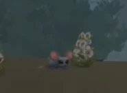 Mouse | Hytale Wiki | Fandom