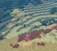 Crab | Hytale Wiki | Fandom
