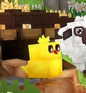 Chicken | Hytale Wiki | Fandom