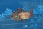Rainbow Trout | Hytale Wiki | Fandom