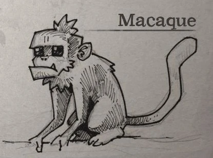 Macaque – Hytale Documentation Wiki