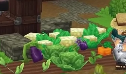 Cauliflower – Hytale Documentation Wiki