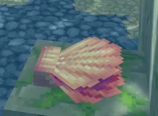 Clam – Hytale Documentation Wiki