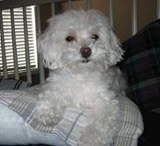 Hyun | Hyun's Dojo Wiki | Fandom