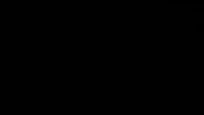 Stick Nodes | Hyun's Dojo Wiki | Fandom