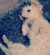 Hyun | Hyun's Dojo Wiki | Fandom