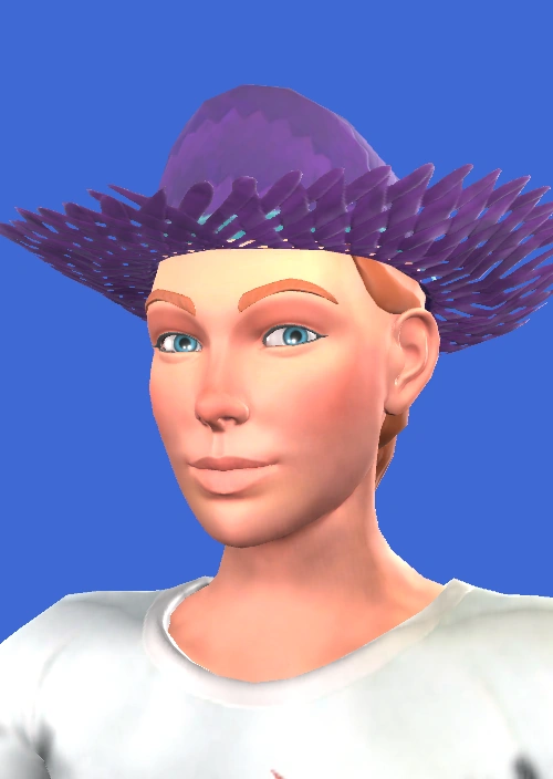 Cosmetics/Hat/Sun Hat | I Am Future Wiki | Fandom