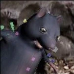 Rat | I Can't Pee Please Help Me (ICARLY) Wiki | Fandom