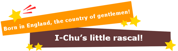 Leon | I-chu Wiki | Fandom