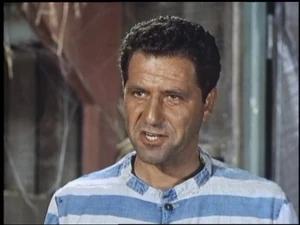 Baynes Barron | I Dream of Jeannie Wiki | Fandom