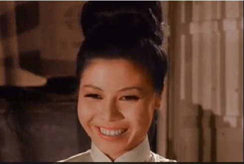 Secret Agent Princess | I Dream of Jeannie Wiki | Fandom