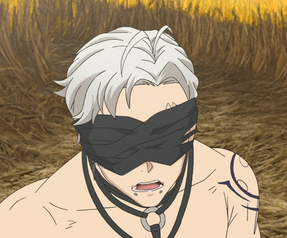 Zadu | I Parry Everything Wiki | Fandom