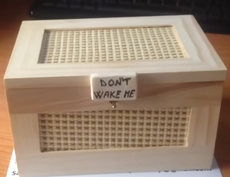Don't wake me box | Item Asylum Ideas Wiki | Fandom