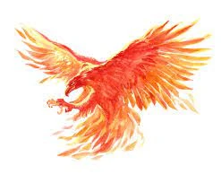 Phoenix (Race) | Iaddithis Wiki | Fandom