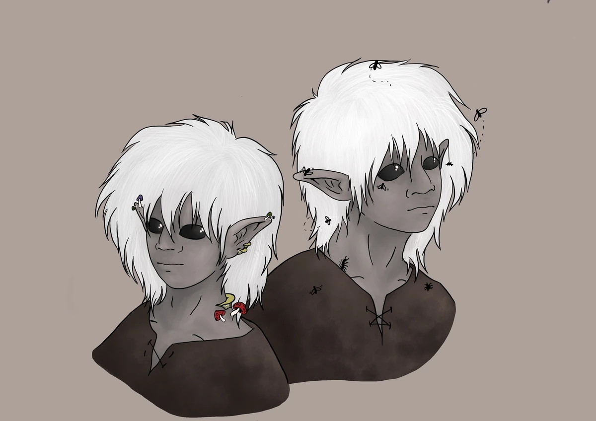 Ludus Paidia | Iadrenium Wiki | Fandom