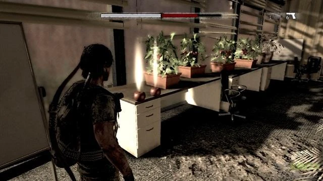 Tomato | I AM Alive Wiki | Fandom